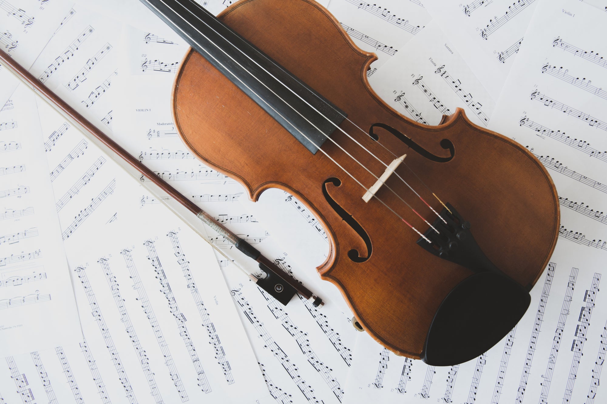 Trusted Toronto Violin Shop and Luthier - Strings, Bows & More